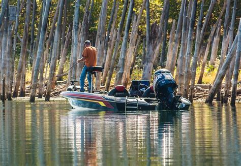 The Ultimate Guide To Becoming A Professional Bass Angler Tight Lines