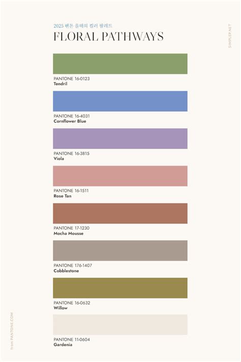 2025 팬톤 올해의 컬러 모카 무스 Simple P