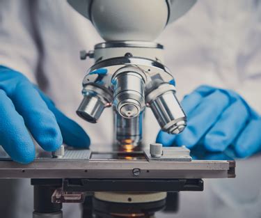 Spotlight On Anemia