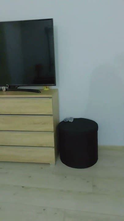 28 Decembrie 2024 Youtube