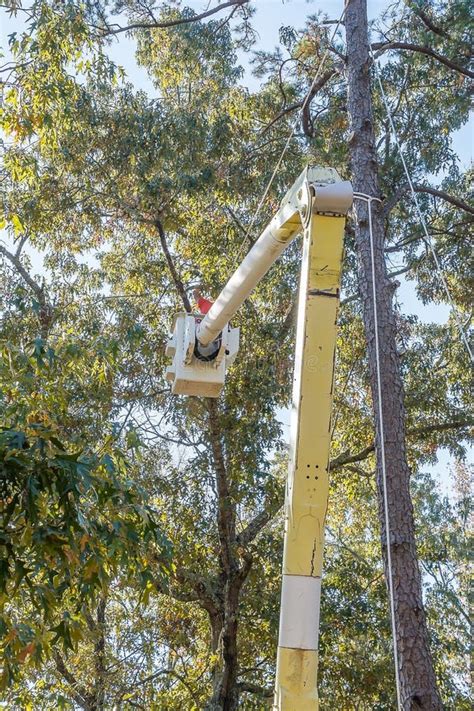 Tree Trimming Bucket Truck Photos Free Royalty Free Stock Photos From Dreamstime