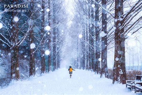 온 세상이 하얗게 물든 겨울 설경이 아름다운 국내 겨울 여행지 추천 Best 5