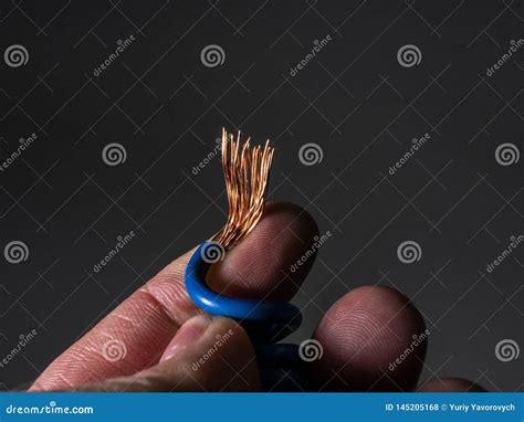 Blue Wire Bare At The End Close Up In The Hand Of A Man On A Gray Background Electrical Cable