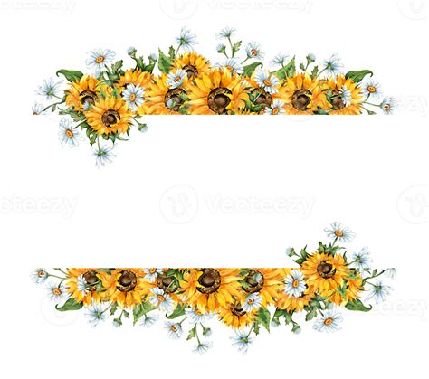 Watercolor Illustration Of A Frame Of Yellow Sunflowers And White
