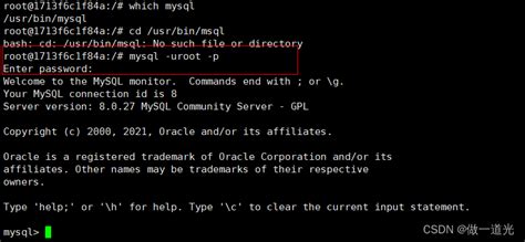 第四章 Docker 使用示例docker应用例子 Csdn博客