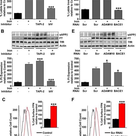 Familial Mutations In App That Alter Proteolytic Processing Affect Download Scientific Diagram