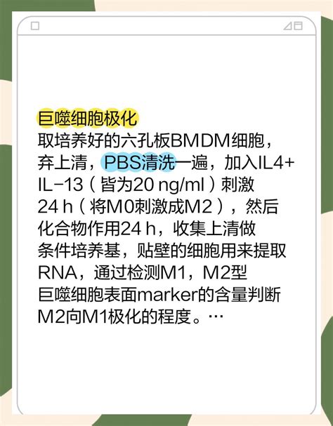 巨噬细胞极化实验：从m2到m1的转变