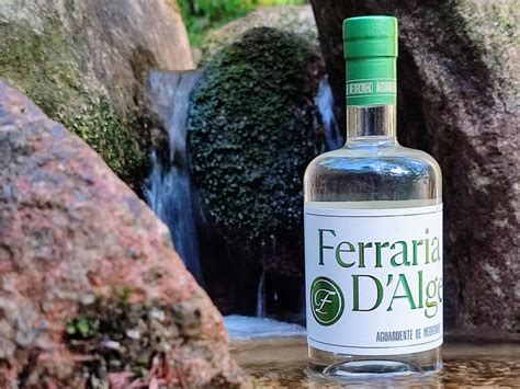 Fonts In Use Saúde Santé Cheers Prosit Prost Fontstand News