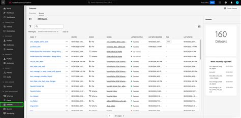 Datasets Ui Guide Adobe Experience Platform