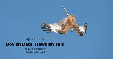 Dovish Data Hawkish Talk North Star Financial Services