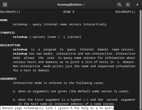 How To Install And Use Nslookup On Debian LinuxWays