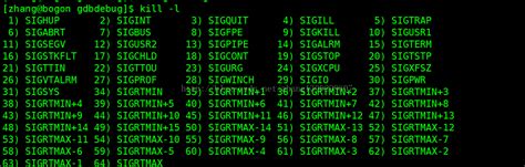信号 核心转储 gdb调试 gdb sigttou csdn博客