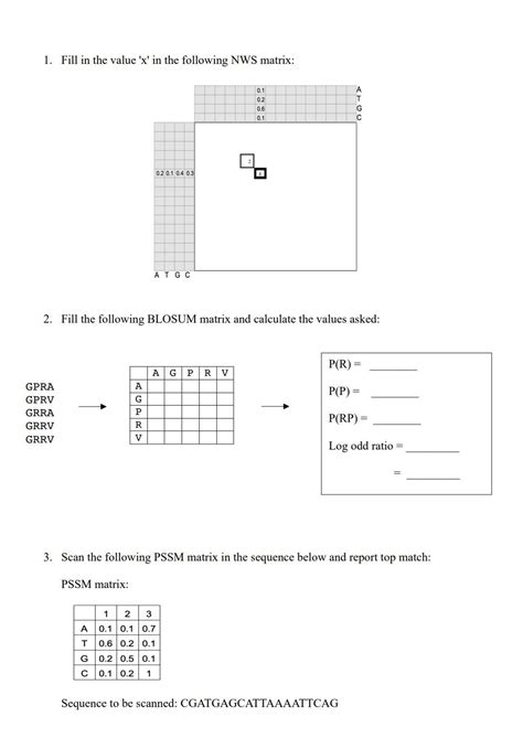 Solved Question Based On Needleman Wunsch Chegg