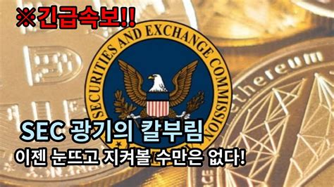 코인월가 Sec이슈 무너지는 코인시장 Youtube