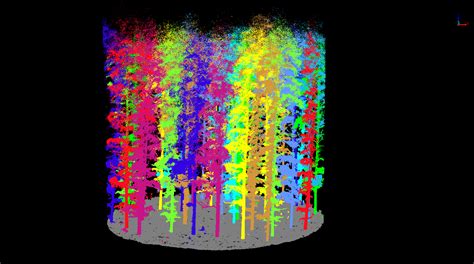 Exercise 3 Tree Segmentation · Gvi Tutorials