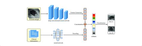 The Processing Flow Of Our Deep Convolutional Neural Network Download Scientific Diagram