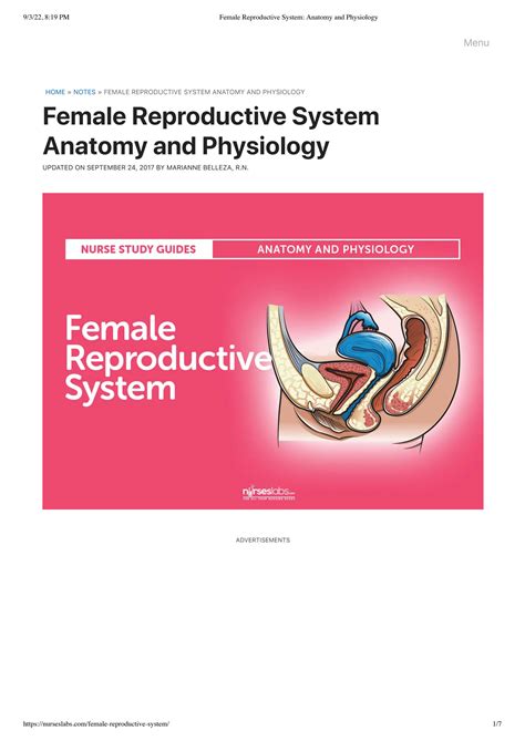 Solution Female Reproductive System Anatomy And Physiology Studypool