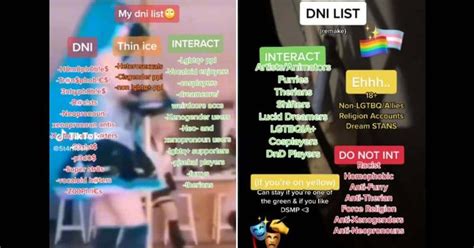 Dni What Does Tiktoks Latest Slang Mean Meaww