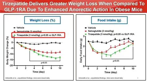 Bimagrumab减重22 ，减重原理是什么？