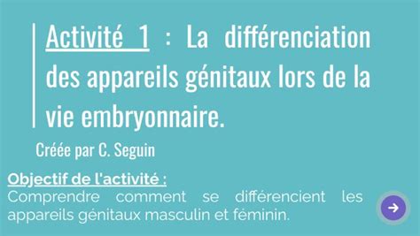 Différenciation sexe Version Maison