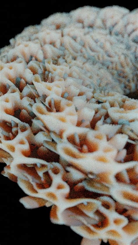 Initialising Rproceduralgeneration