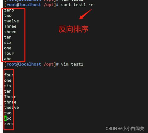 Linux命令详解：排序、唯一化、字符转换与文件切割 Csdn博客