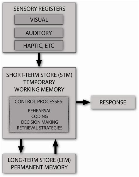 The Multi Modal Model By Atkinson And Shiffrin 1968 Download