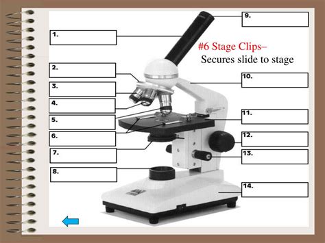 PPT Introduction To The Microscope PowerPoint Presentation Free Download ID 1761846