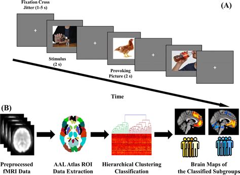 Task Design And Analysis Steps A The Task Includes Alcohol And Matched Download Scientific
