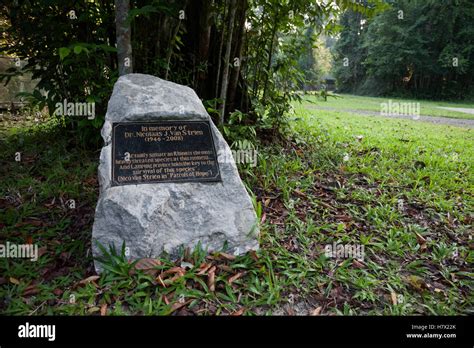 Memorial To Dr Nico Van Strien At The Sumatran Rhino Sanctuary Way