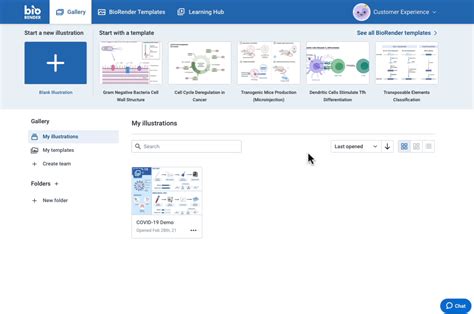 Using BioRender Slides Premium Only BioRender Help