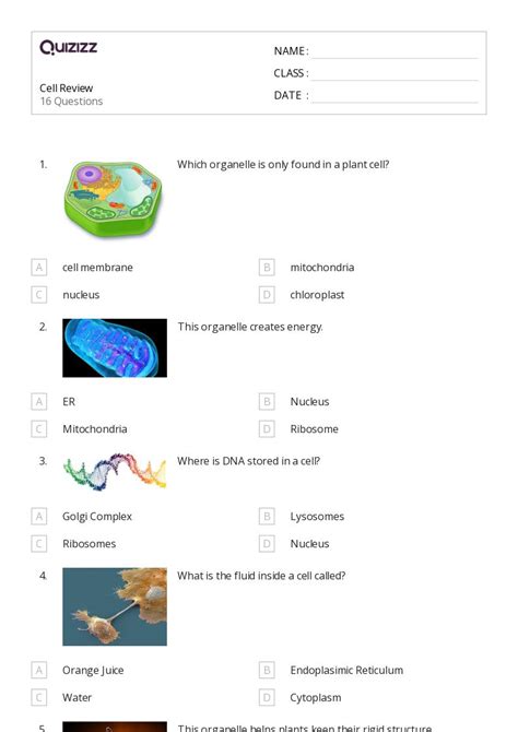 50 Prokaryotes And Eukaryotes Worksheets On Quizizz Free And Printable