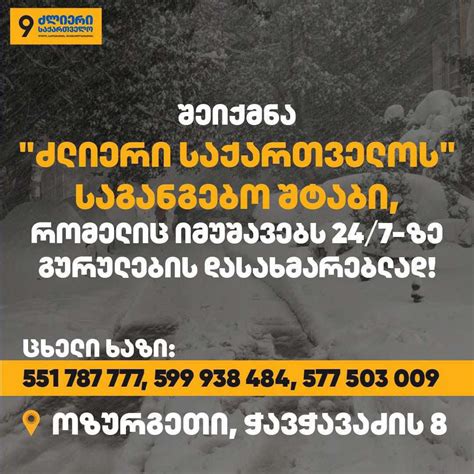 „ძლიერმა საქართველომ“ ოზურგეთში საგანგებო შტაბი შექმნა