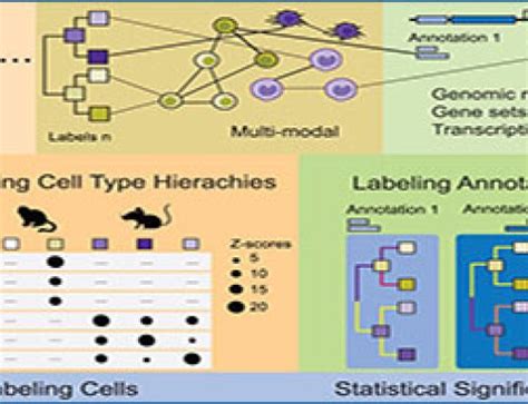 Scwizard A Web Based Automated Tool For Classifying And Annotating Single Cells And Downstream