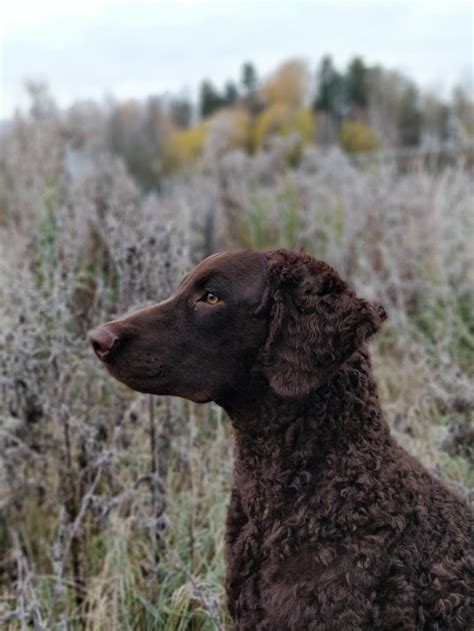 Resources For Sex Workers In Cebu Rcebu