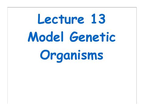 Model Genetic Organisms Word文档在线阅读与下载 无忧文档