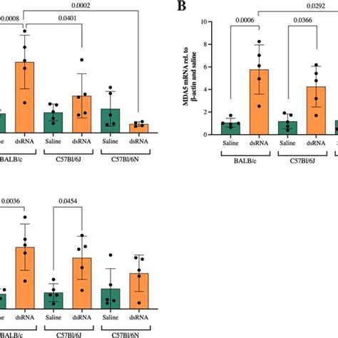 The Effect Of In Dsrna Administration On Protein Expression Of Tlr3