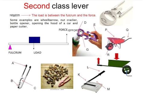 Examples Of Second Class Lever
