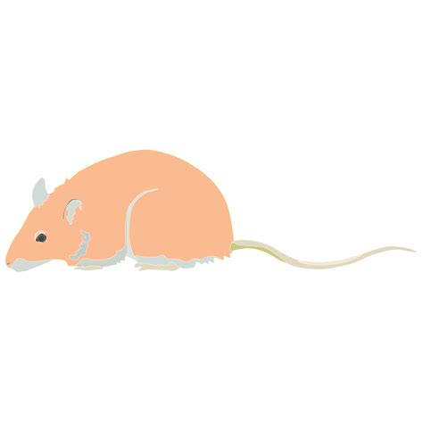 生物医学之家