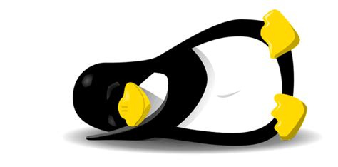 Fix Steam Not Opening On Linux