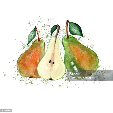 페인트 스플래쉬가있는 흰색 배경에 고립 된 수채화 배 녹색 육즙이 많은 배 전체와 반 과일 건강한 식습관을위한 수채화 그림