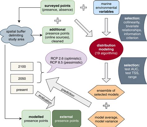 flowchart summarizing the model building and evaluation procedure auc