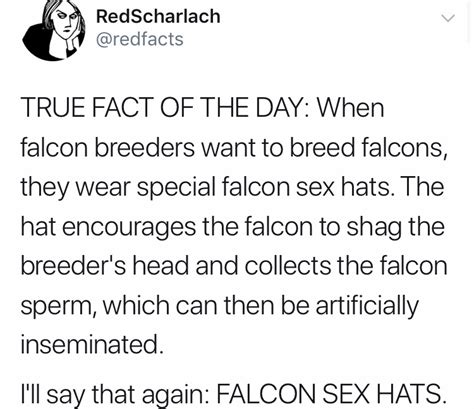 Falcon Sex Hats Album On Imgur