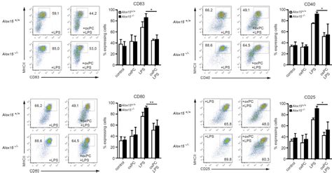 Figure 11 From The Role Of The Lipid Oxidizing Enzyme 12 15 Lipoxygenase As Regulator Of