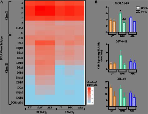 The Effect Of Hypoxia On Hma Induced Hla Expression A Molm 13 Download Scientific Diagram