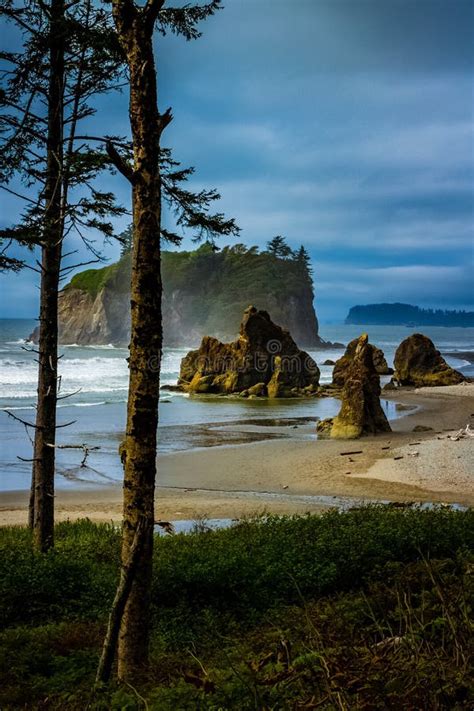 Ruby Beach Olympic National Park Wa Stock Image Image Of Coast