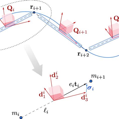 The Cosserat Rod Model A Filament Deforming In The Three Dimensional