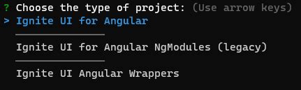 Step By Step Guide Using Ignite UI CLI Ignite UI For Angular