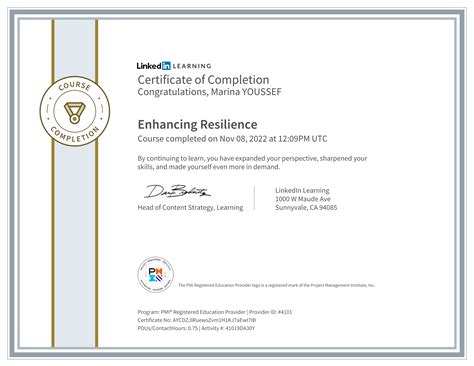 marina youssef on linkedin certificate of completion