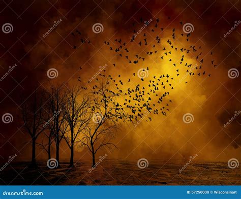 Dead Trees In Forest Withered Pine After Air Pollution Environmental Background Stock Image